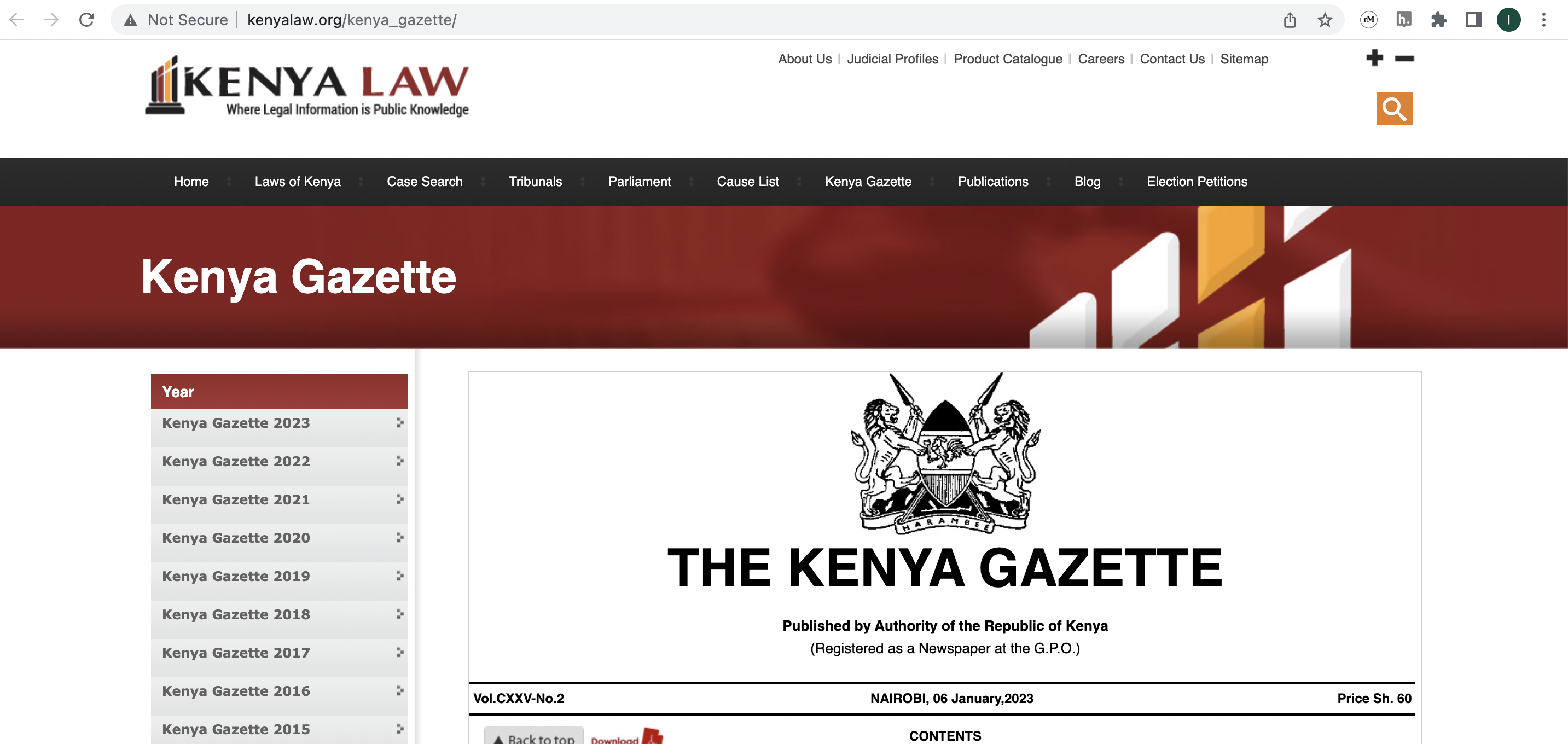 Ivy Nyayieka's Data and Databases project website